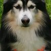 Иконка канала channel52200275