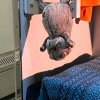 Иконка канала Басята
