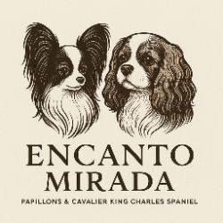 Иконка канала Encanto Mirada