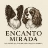 Иконка канала Encanto Mirada