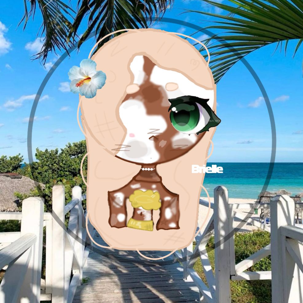 Иконка канала ˚ ࣪࣪𓍢  ִEᥣδiᥒ fᥲⲙiᥣy 🌊*‧°