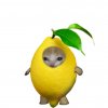 Иконка канала 🧊Акваринка🧊🍋Лимонка🍋