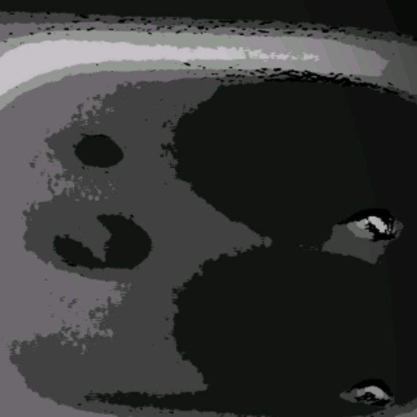 Иконка канала Женя кеймер