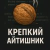 Иконка канала КРЕПКИЙ АЙТИШНИК