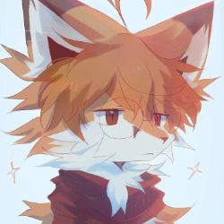 Иконка канала DJ RufflesTheFox