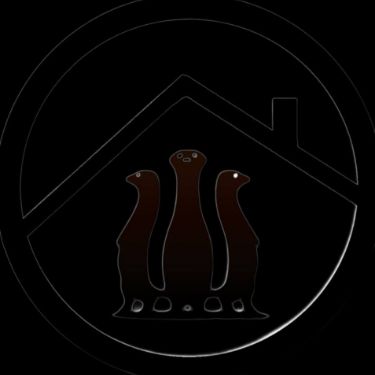 Иконка канала Приют сурикатов в Екатеринбурге