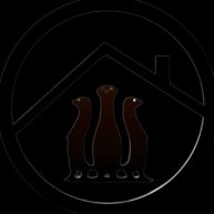 Иконка канала Приют сурикатов в Екатеринбурге