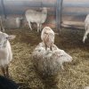 Иконка канала Пенсионер В Деревне