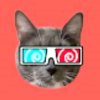 Иконка канала Перезаливы Kotiynet