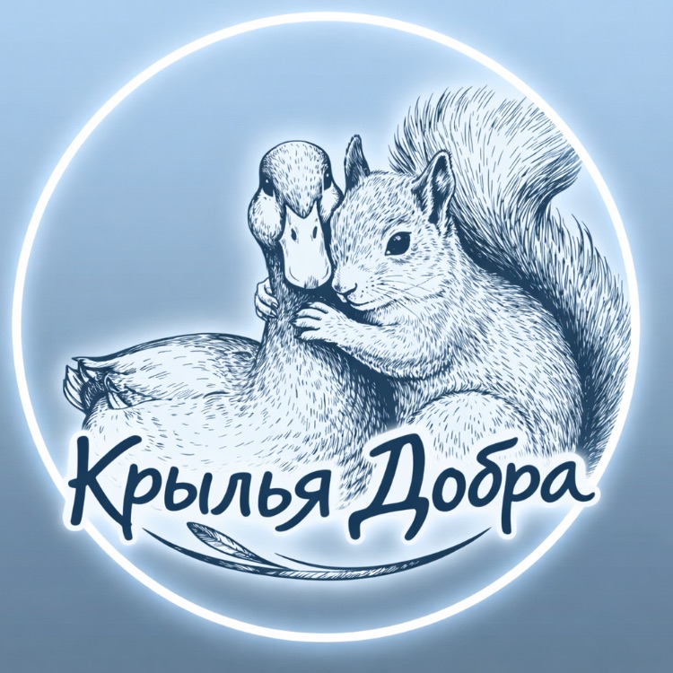 Иконка канала Крылья Добра