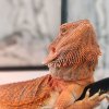 Иконка канала Тим Димыч
