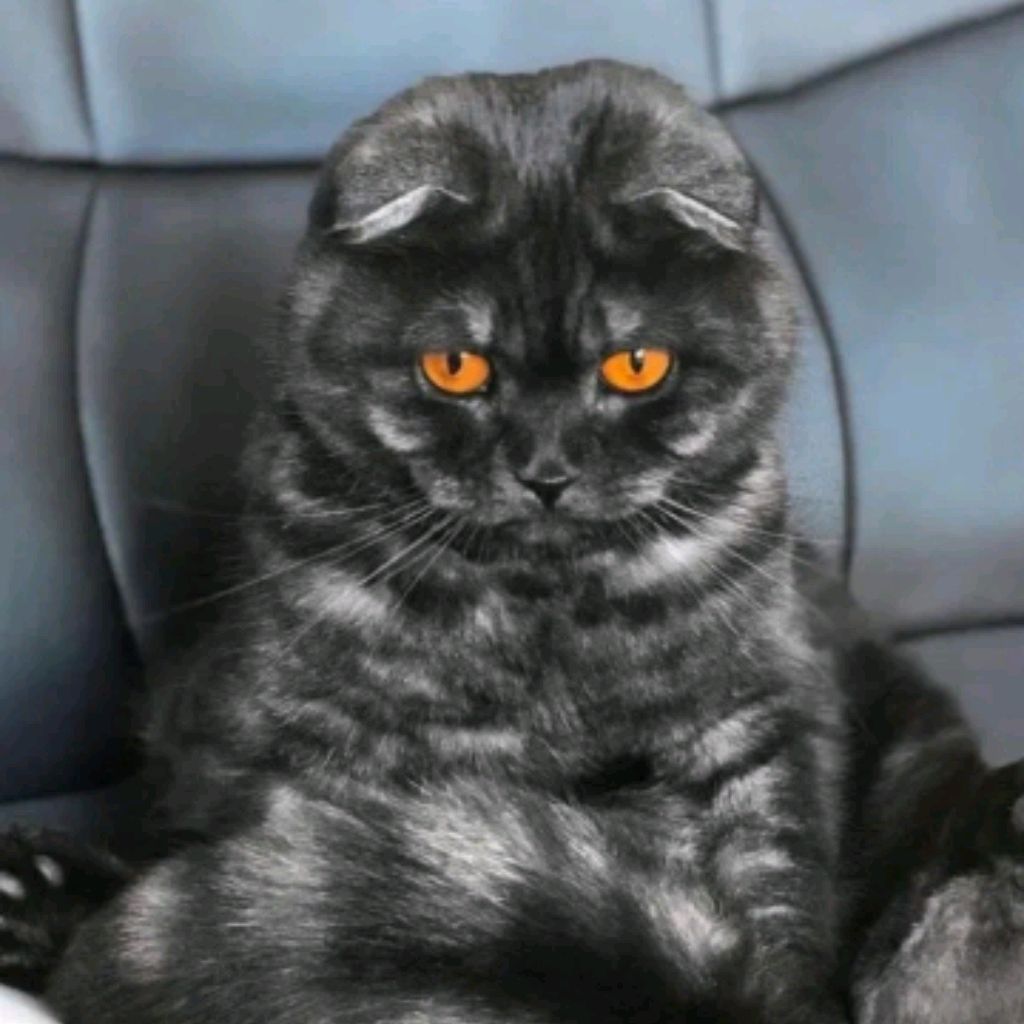 Иконка канала Irina ❤️😽
