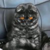 Иконка канала Irina ❤️😽