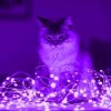 Иконка канала kitty