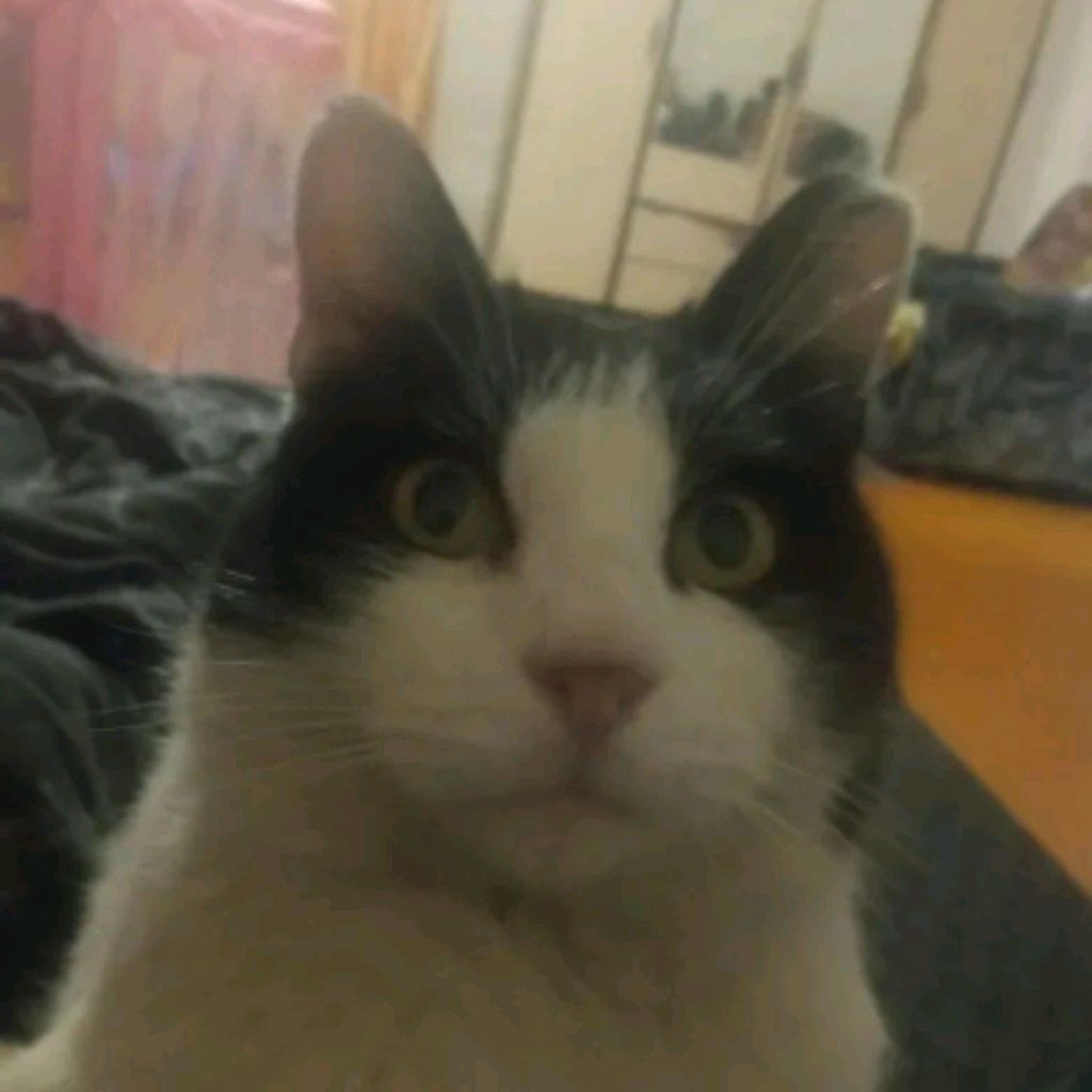 Иконка канала T1Mg4m3s