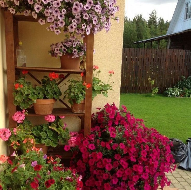 Иконка канала Сад, Дача, Огород ☘️🌼🌴