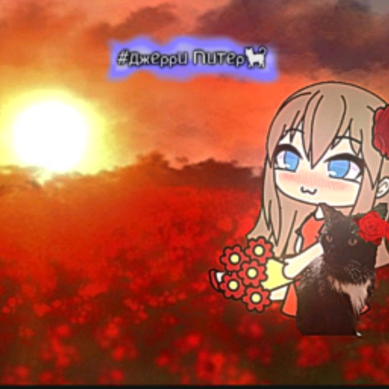 Иконка канала #Джᥱρρᥙ 𐌿ᥙᴛᥱρ🐈‍⬛