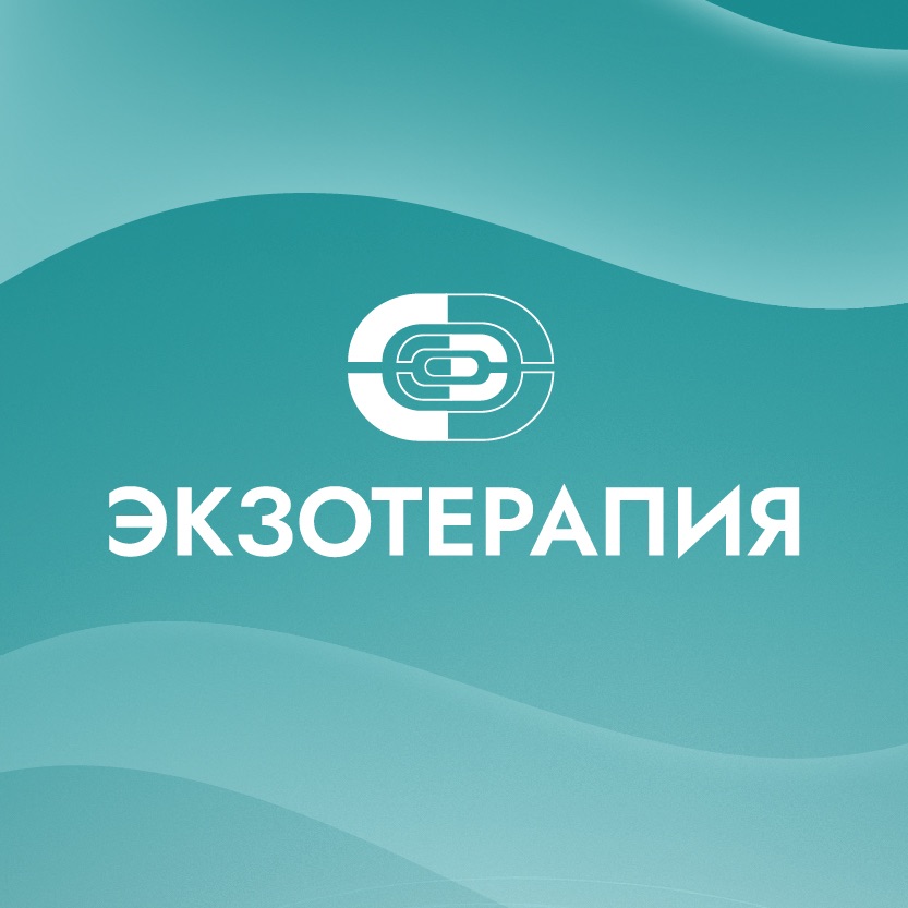 Иконка канала ЭКЗО ГРУПП | инновации в физиотерапии