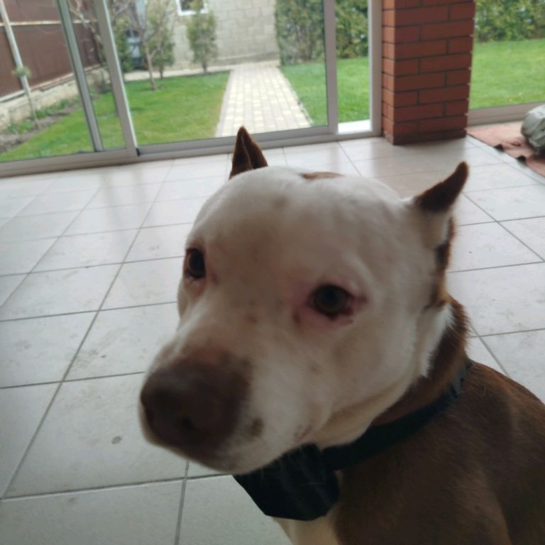 Иконка канала Рэкс