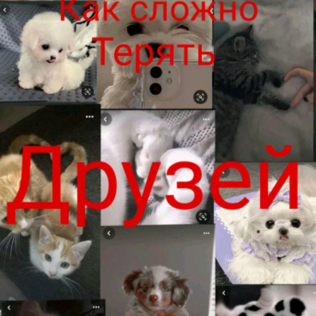 Иконка канала Милка стор