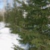 Иконка канала Моё село