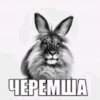 Иконка канала Игр