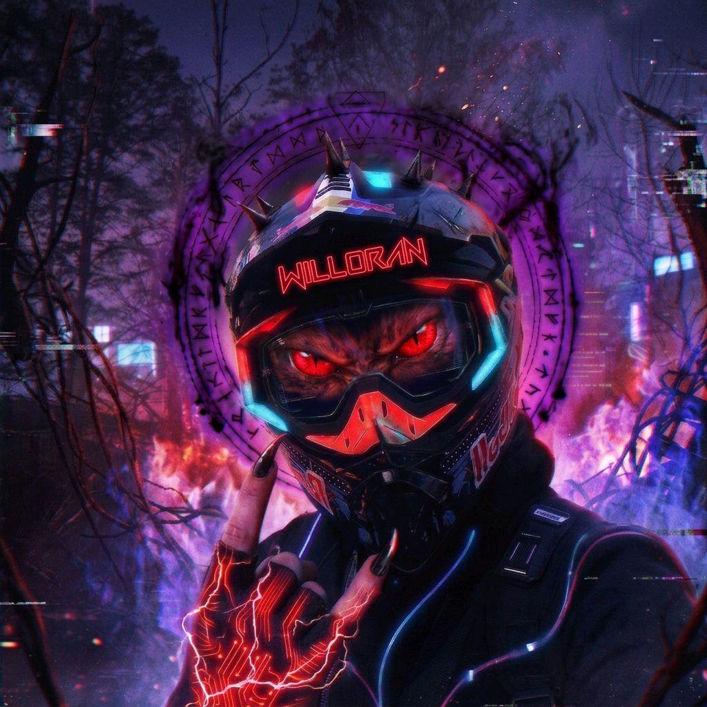 Иконка канала WILLORAN