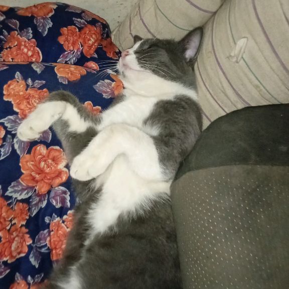 Иконка канала Андрей Шоу