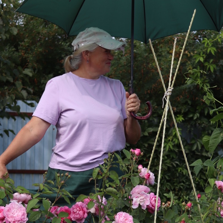 Иконка канала СадНеМоДный