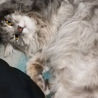 Иконка канала Прототипа Василий.🖤