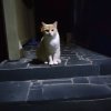 Иконка канала channel77869356