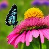 Иконка канала Моменты жизни