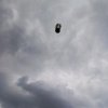 Иконка канала Николаевские голуби Воронежской обл