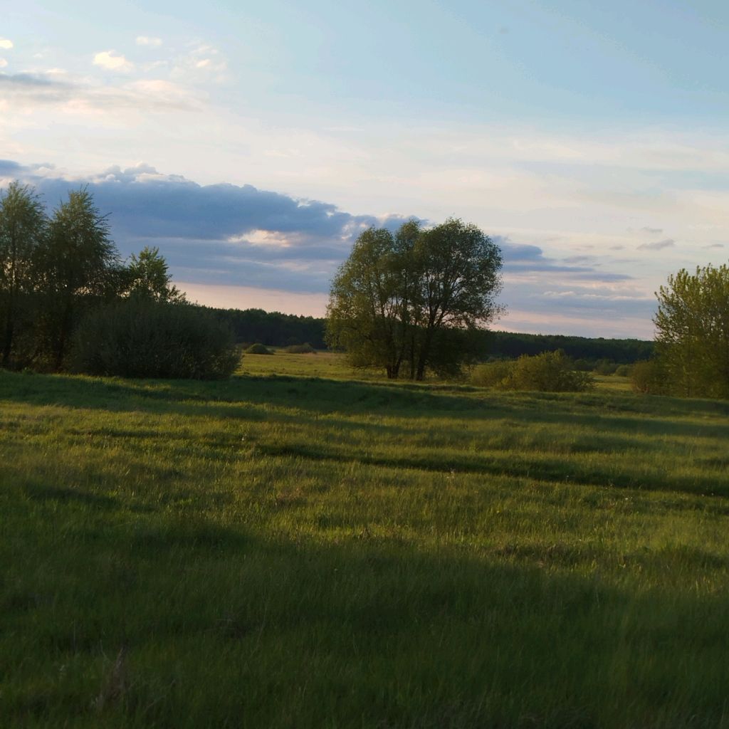 Иконка канала Кокосина050515