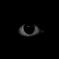 Иконка канала Grey-animation_RUTUBE_Russia