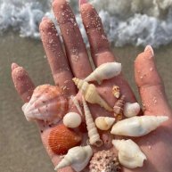 Иконка канала ИНТРО ТОКА