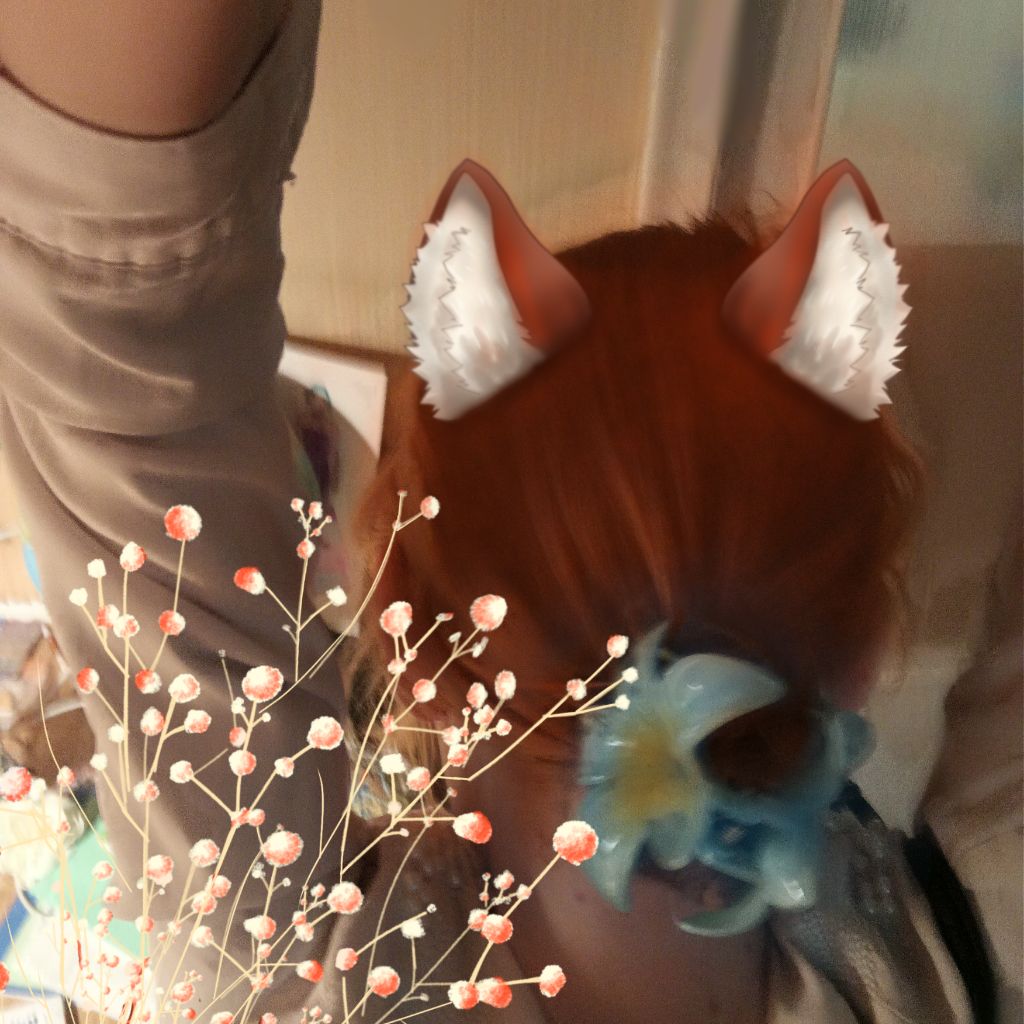 Иконка канала Foxy🦊