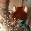 Иконка канала Foxy🦊