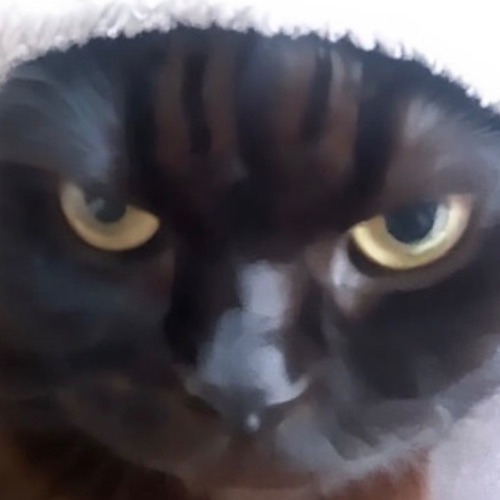 Иконка канала Хрютонович