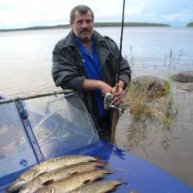 Иконка канала Petrovich-travel