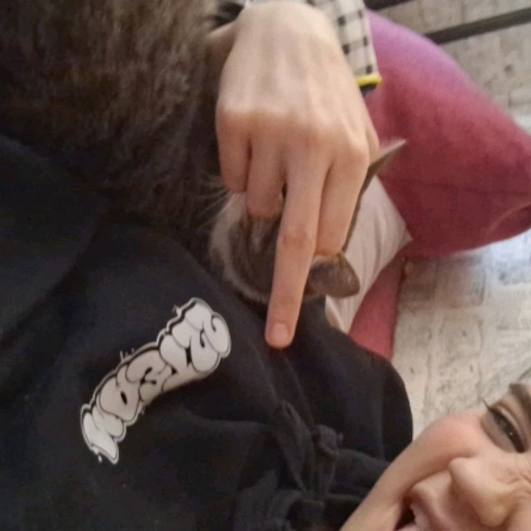 Иконка канала channel71405153