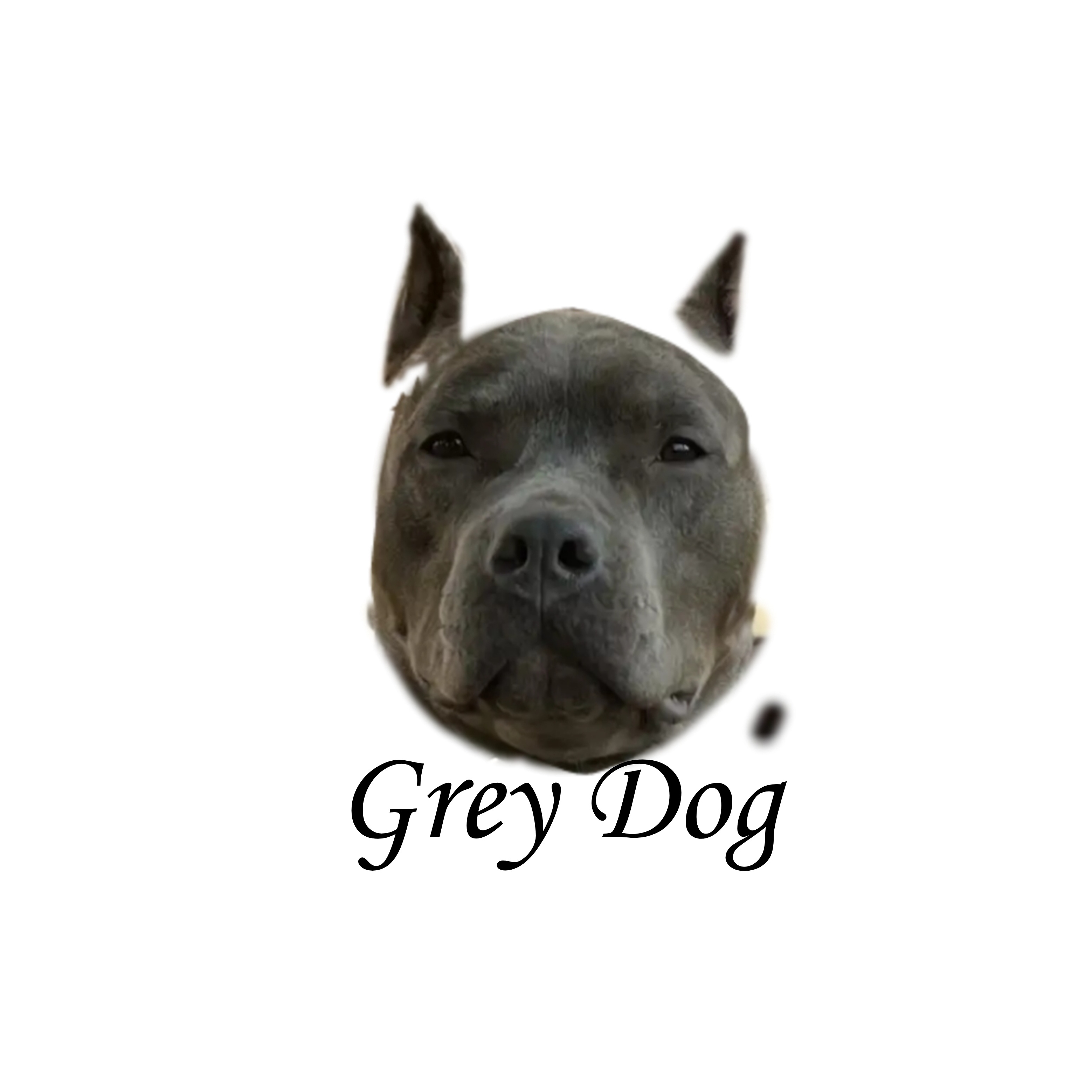 Иконка канала Greyyyy