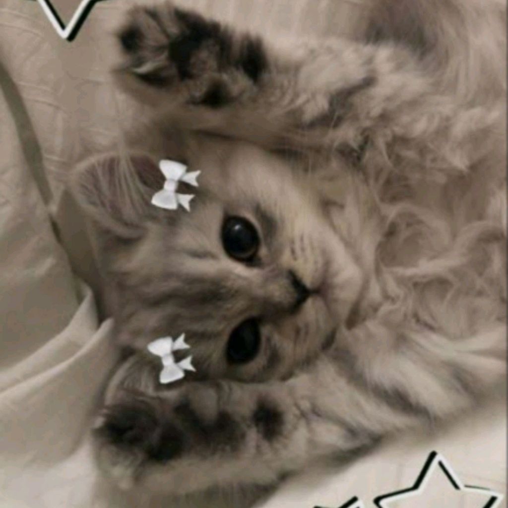 Иконка канала Klendia_(♡~♡)