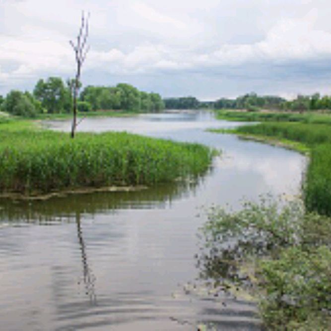 Иконка канала Грета