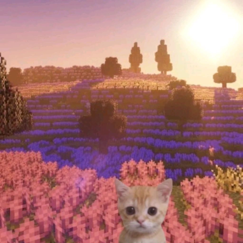 Иконка канала ДП песни