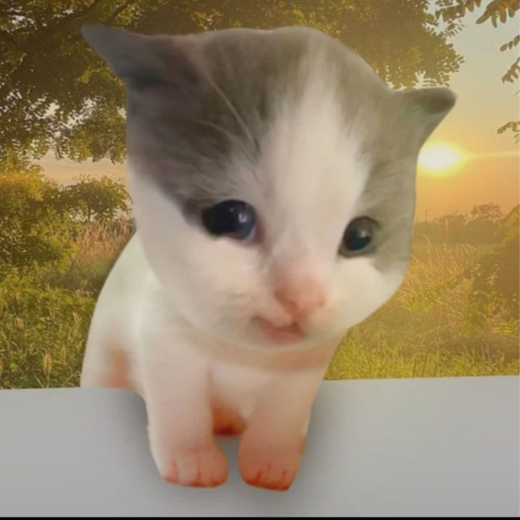 Иконка канала channel76999473