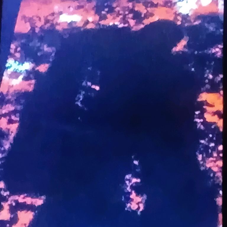 Иконка канала Правила Цветы