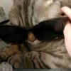 Иконка канала Кошачок Максик