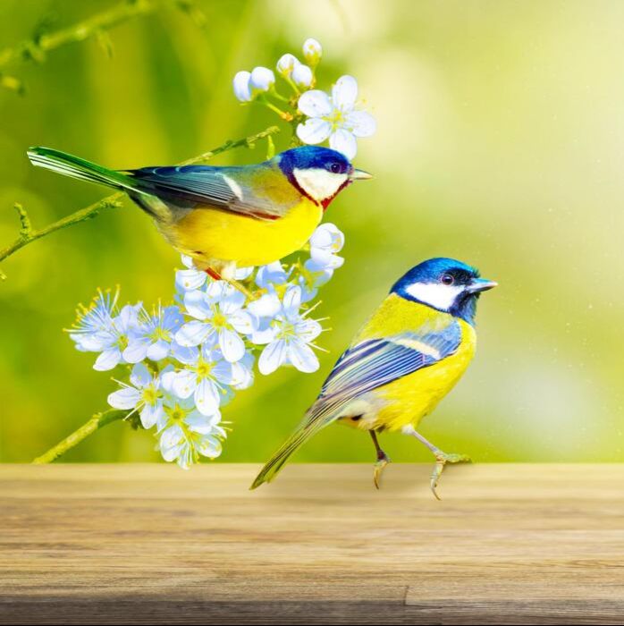 Иконка канала Огонь TV 🔥