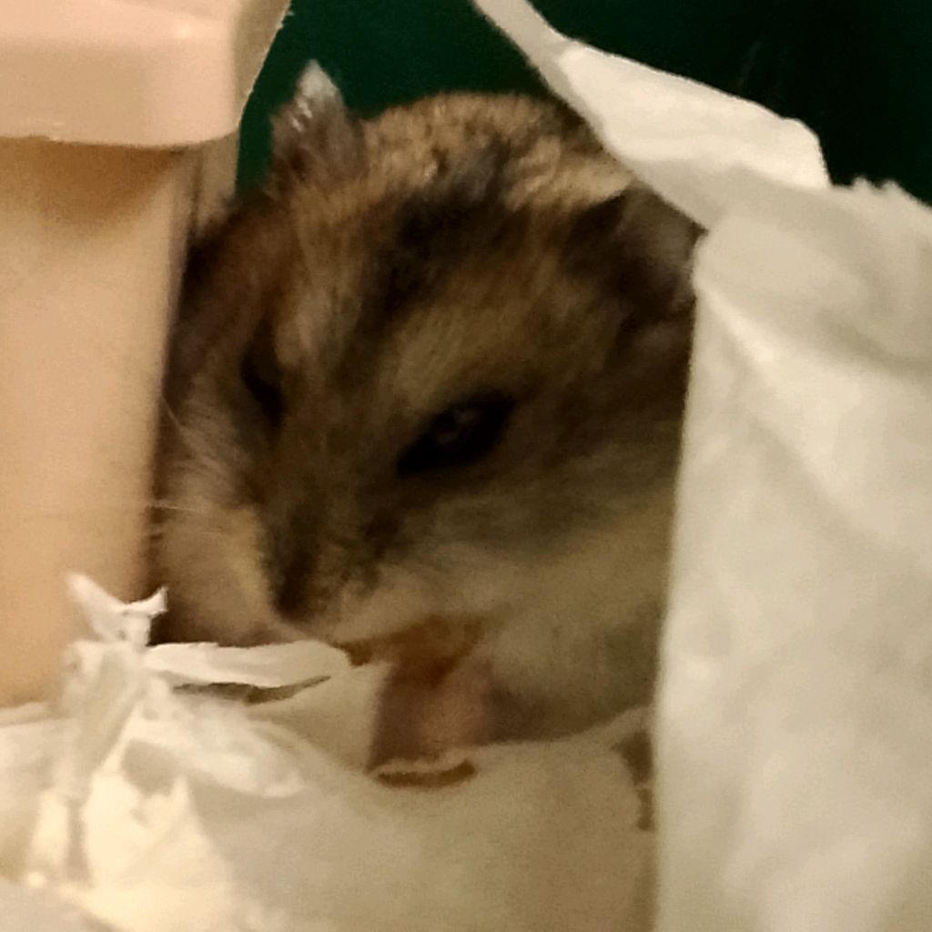 Иконка канала Денис3007